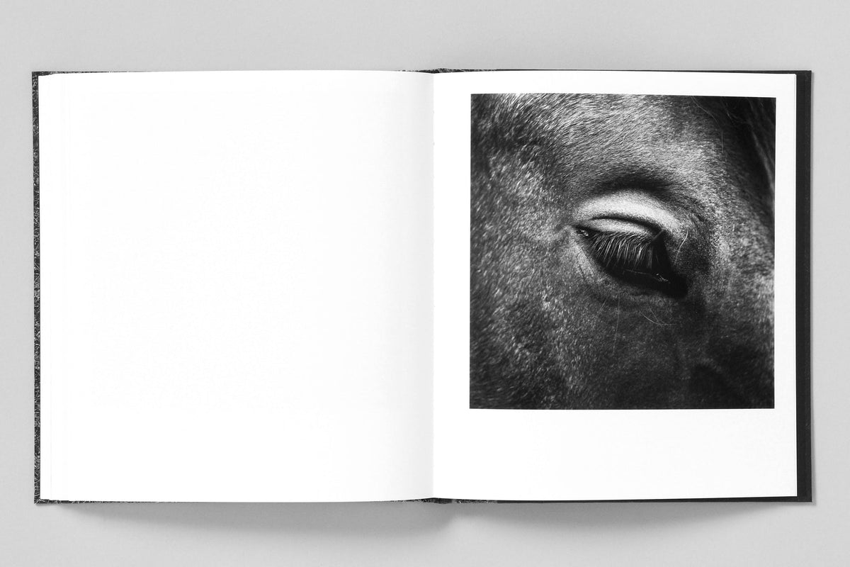 Mimi Plumb - Megalith-Still – Baltimore Photo Space