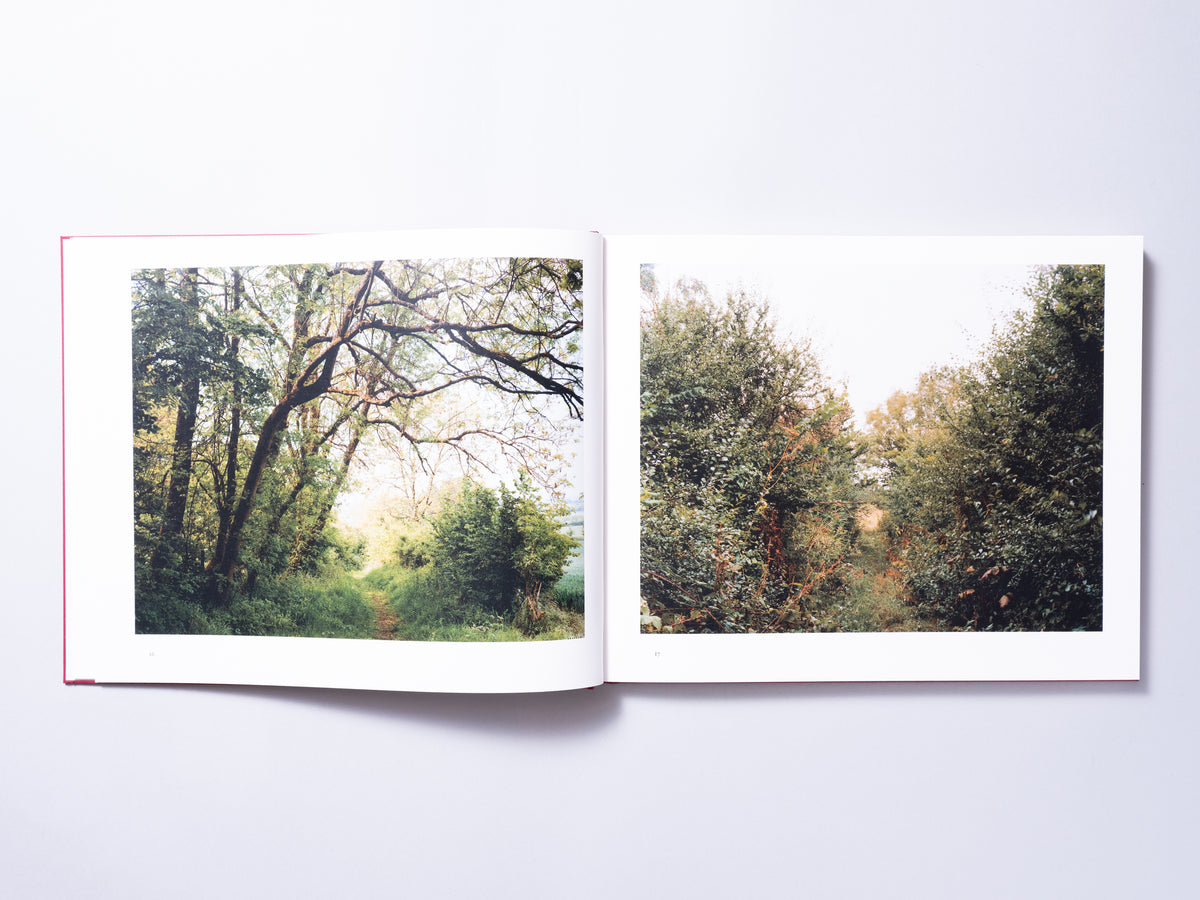 John Spinks - Harrowdown Hill (Signed) – Baltimore Photo Space