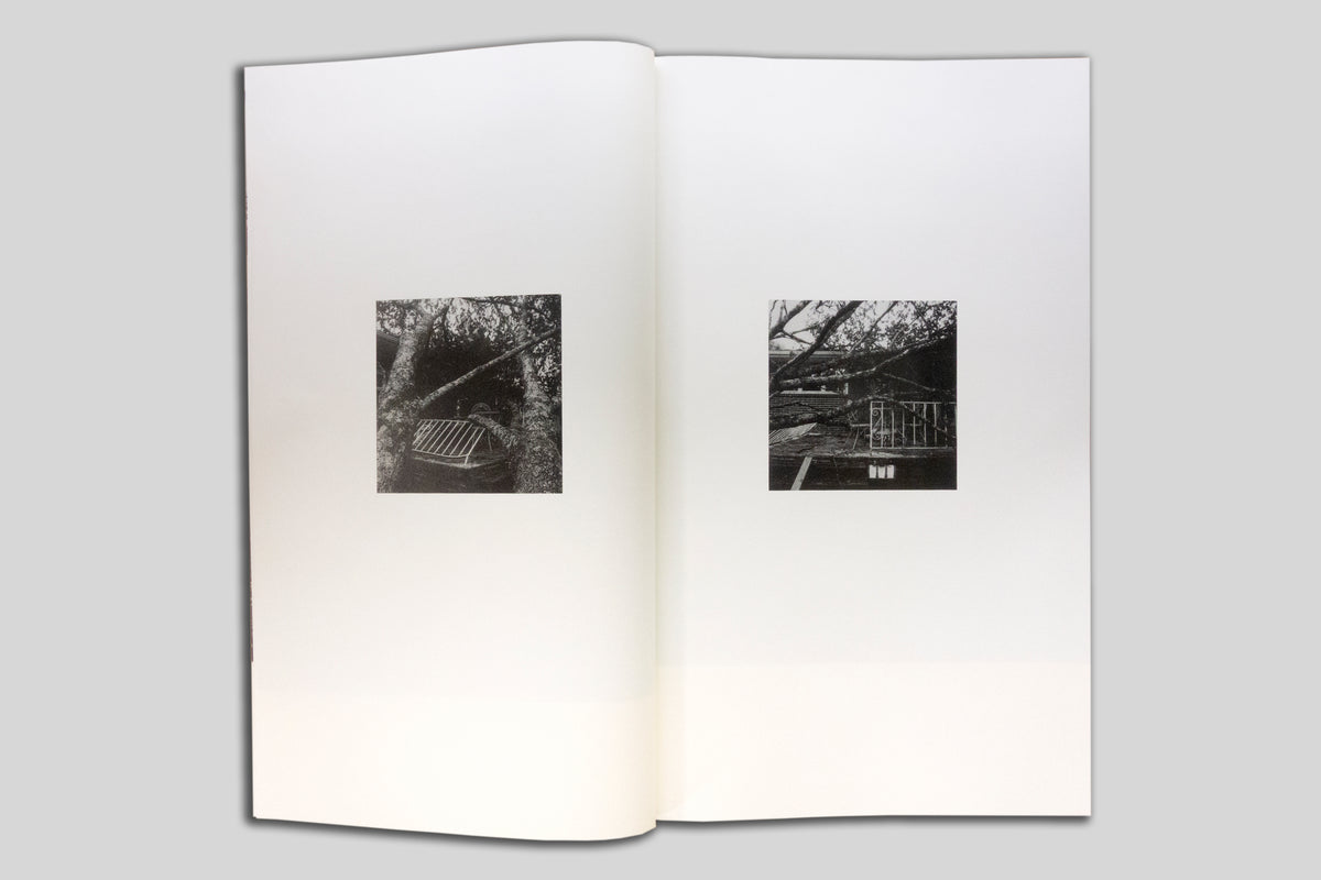Harrison Miller - Yellow Pine – Baltimore Photo Space