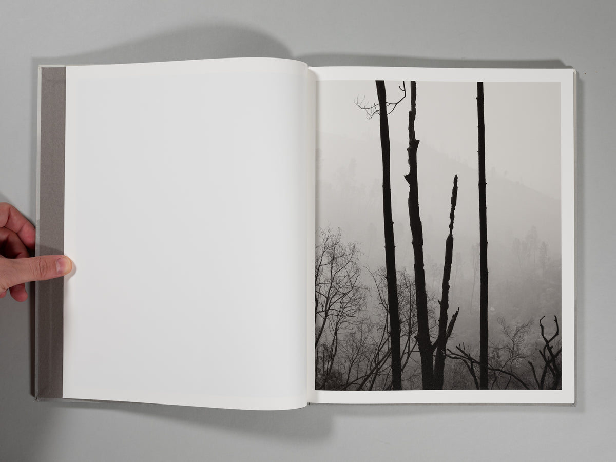 Ian Bates - The Weight of Ash (Signed) – Baltimore Photo Space