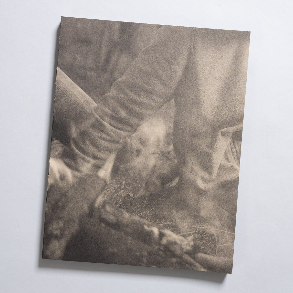 Florence Cuschieri - La ronde des hirondelles – Baltimore Photo Space