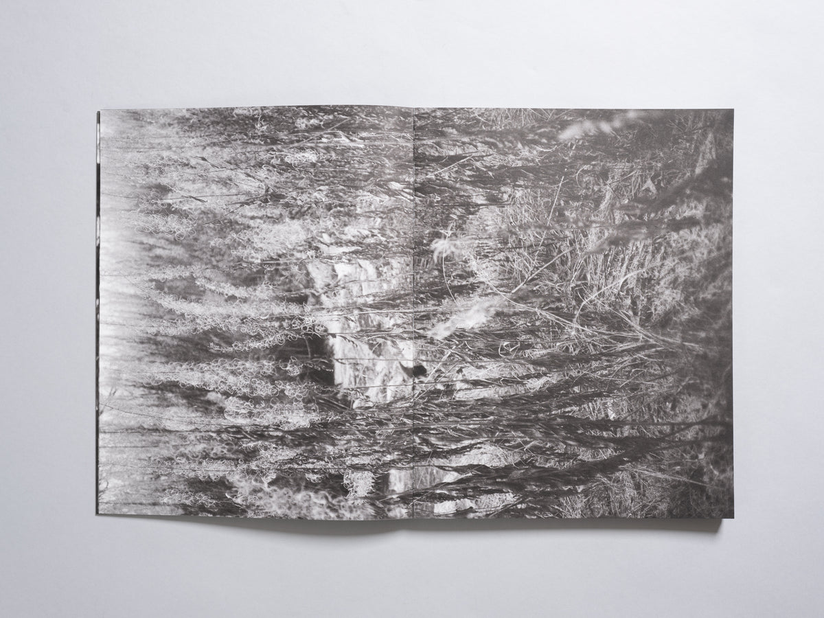 Florence Cuschieri - La ronde des hirondelles – Baltimore Photo Space