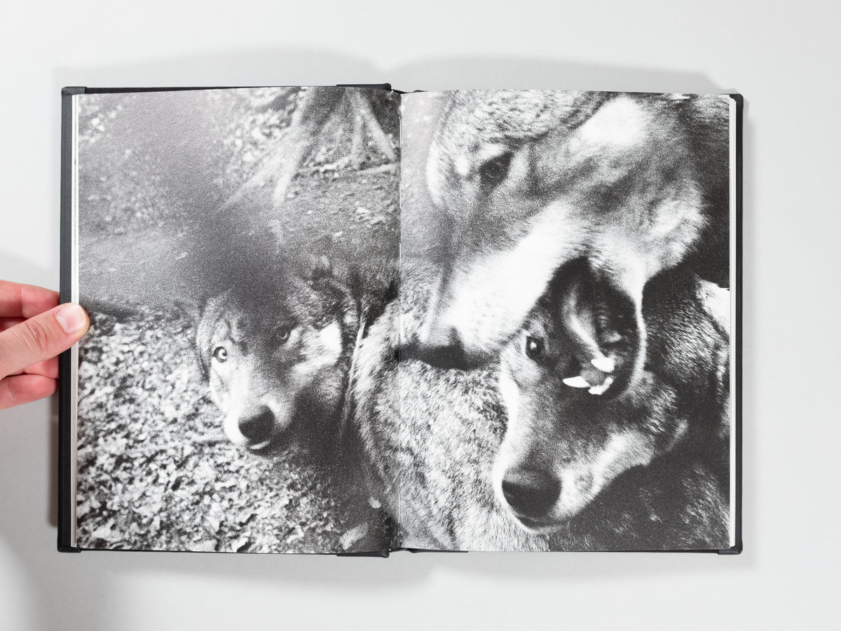 Anne Arendt - Vanishing – Baltimore Photo Space