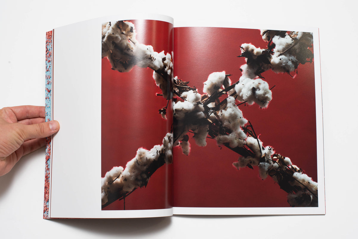 Frank Frances - Remember the South – Baltimore Photo Space